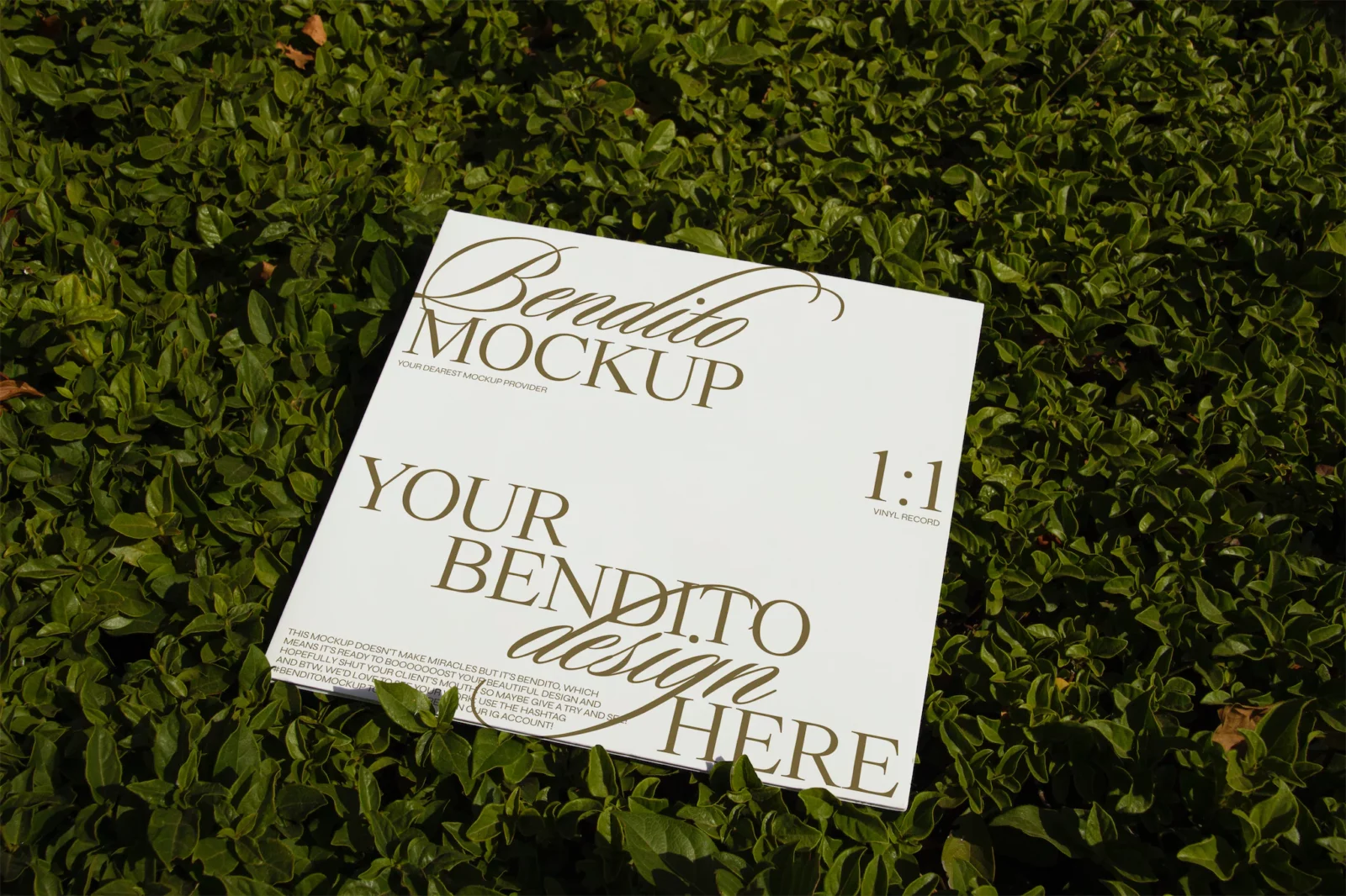 Free Vinyl Mockup - Bendito Mockup